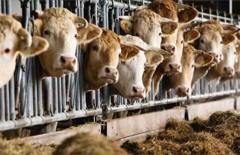 Skal Biocontrole | Homepage